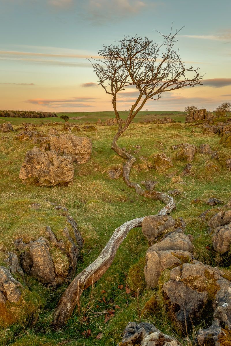 Roystone Rocks Derbyshire - James Pictures