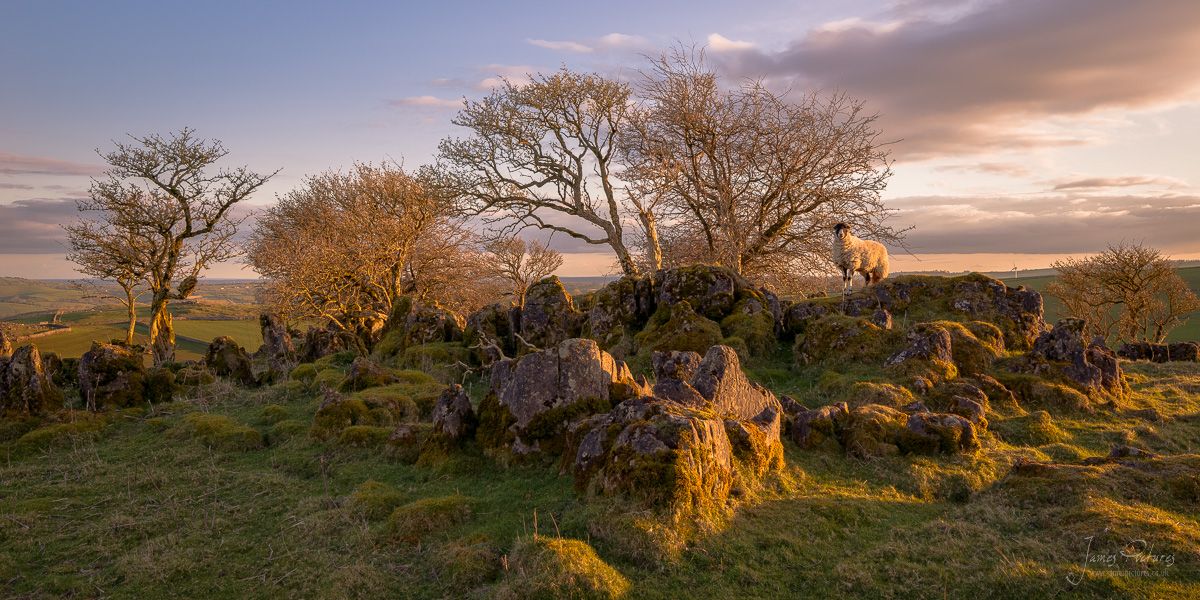 Roystone Rocks Peak District - James Pictures