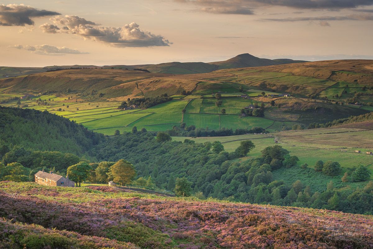 Back Forest and Beyond - James Pictures