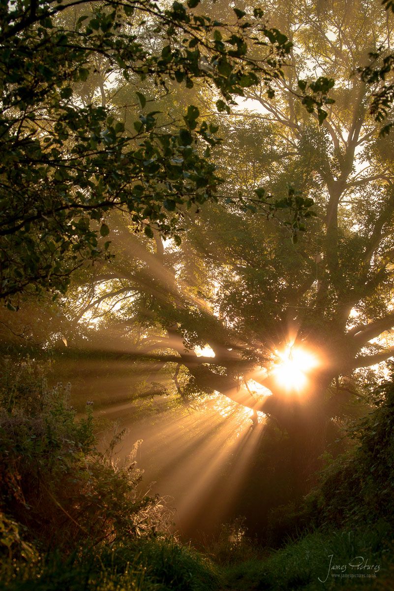 Rays of Light - James Pictures