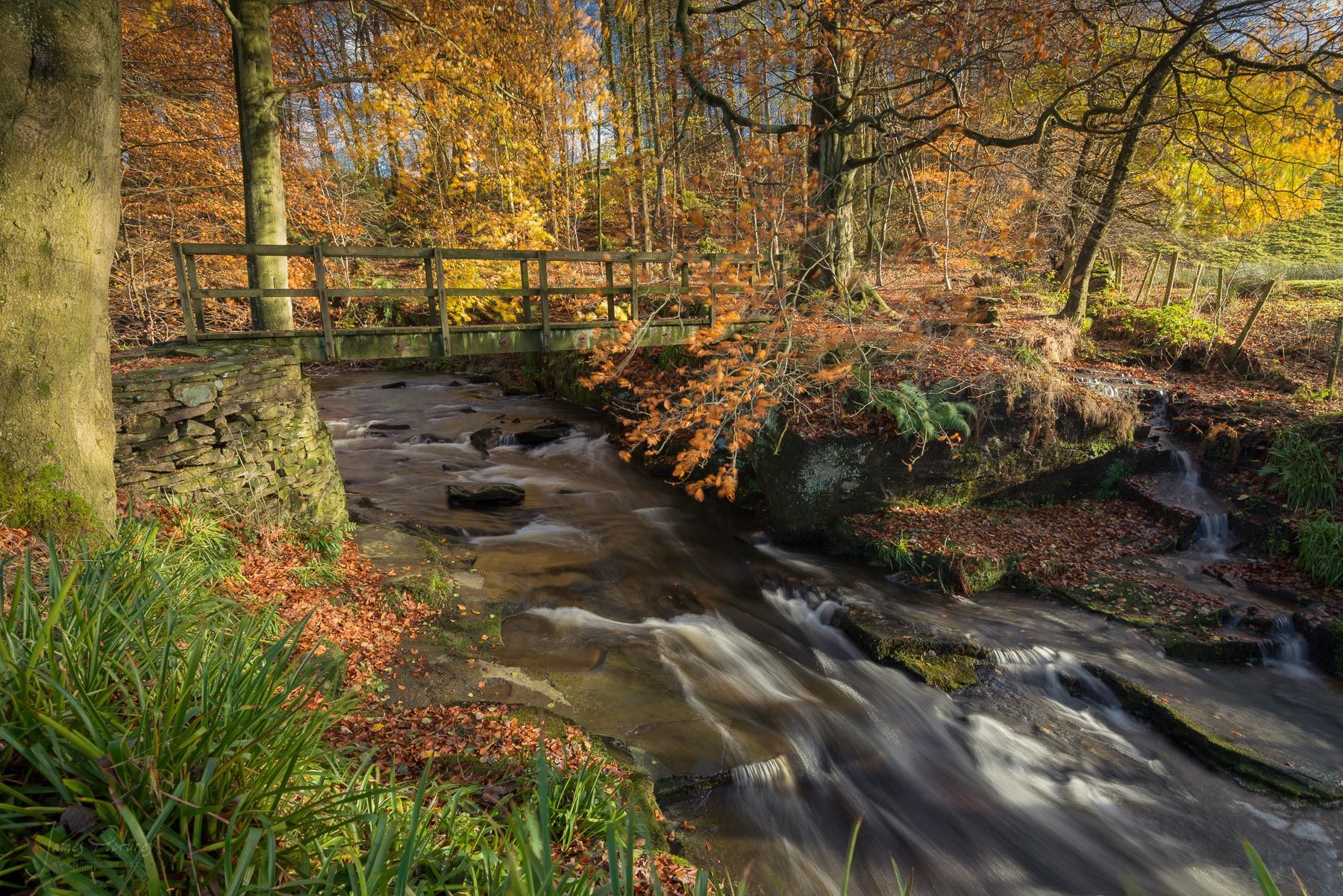 Clough Brook - James Pictures