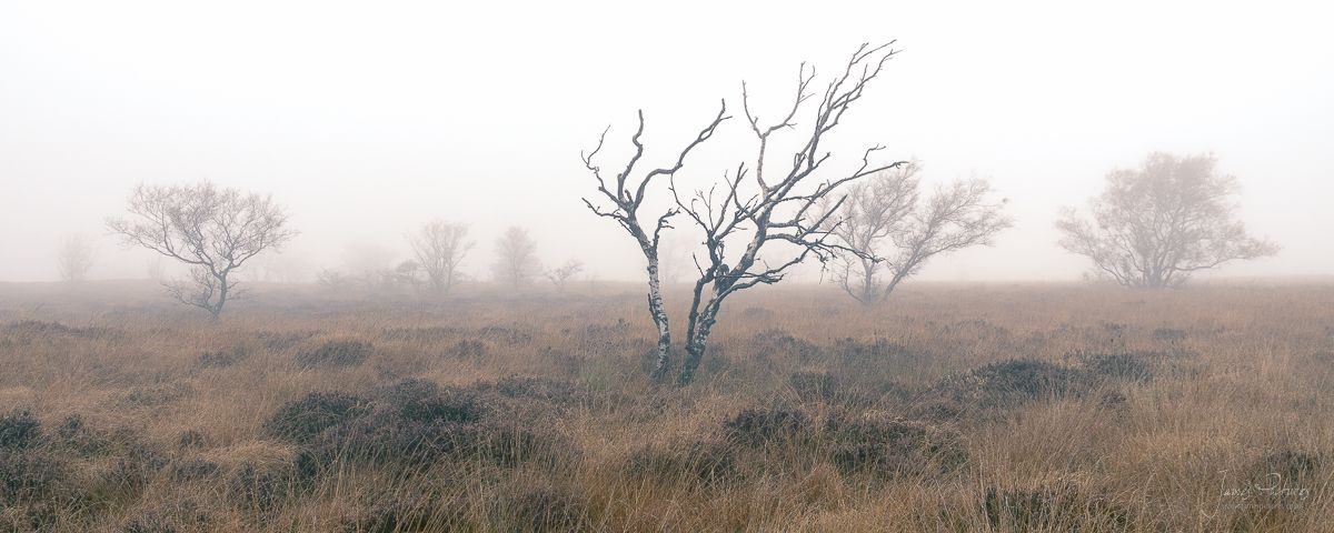 Ipstones Edge - James Pictures